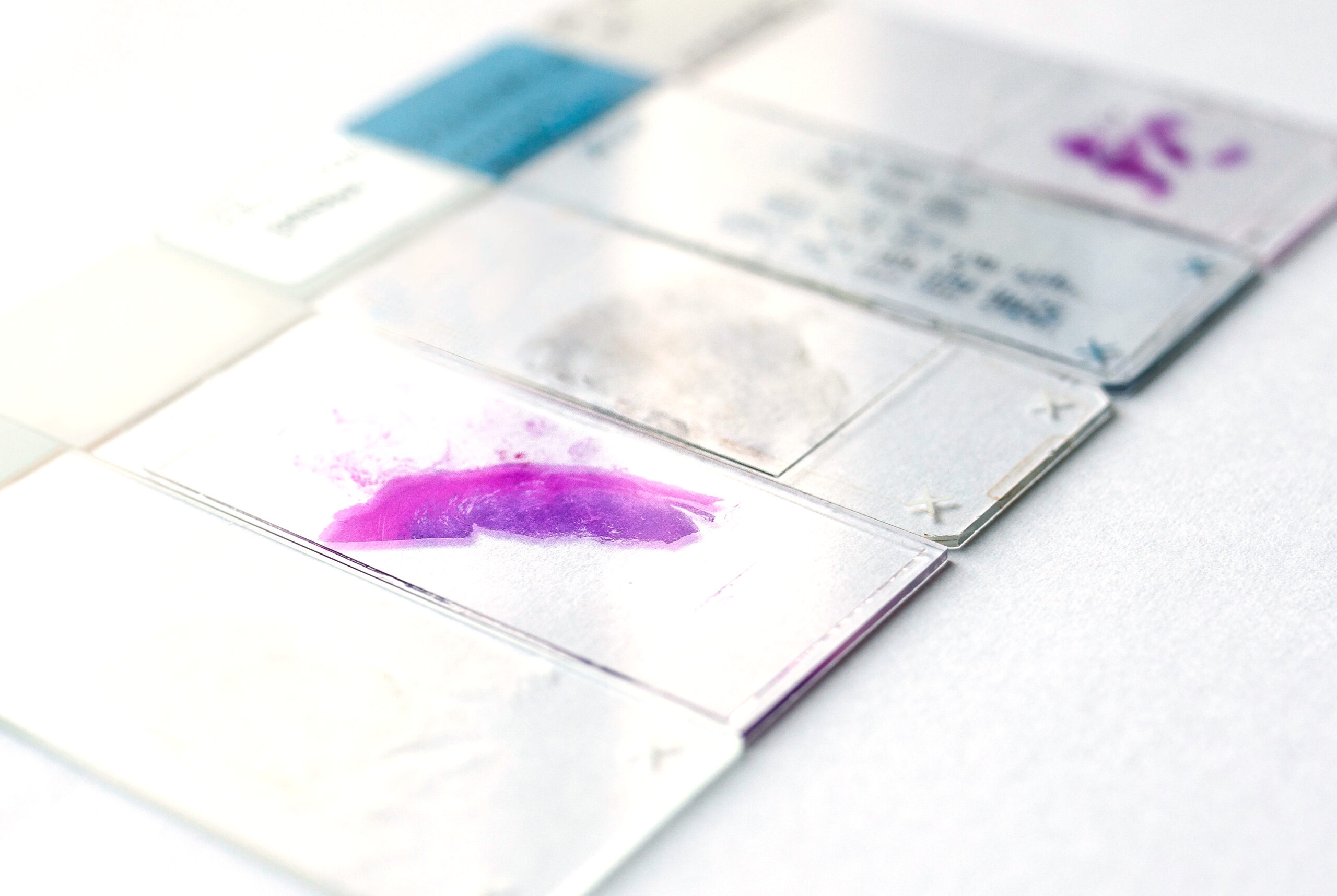 KML VISION - Science Park Graz